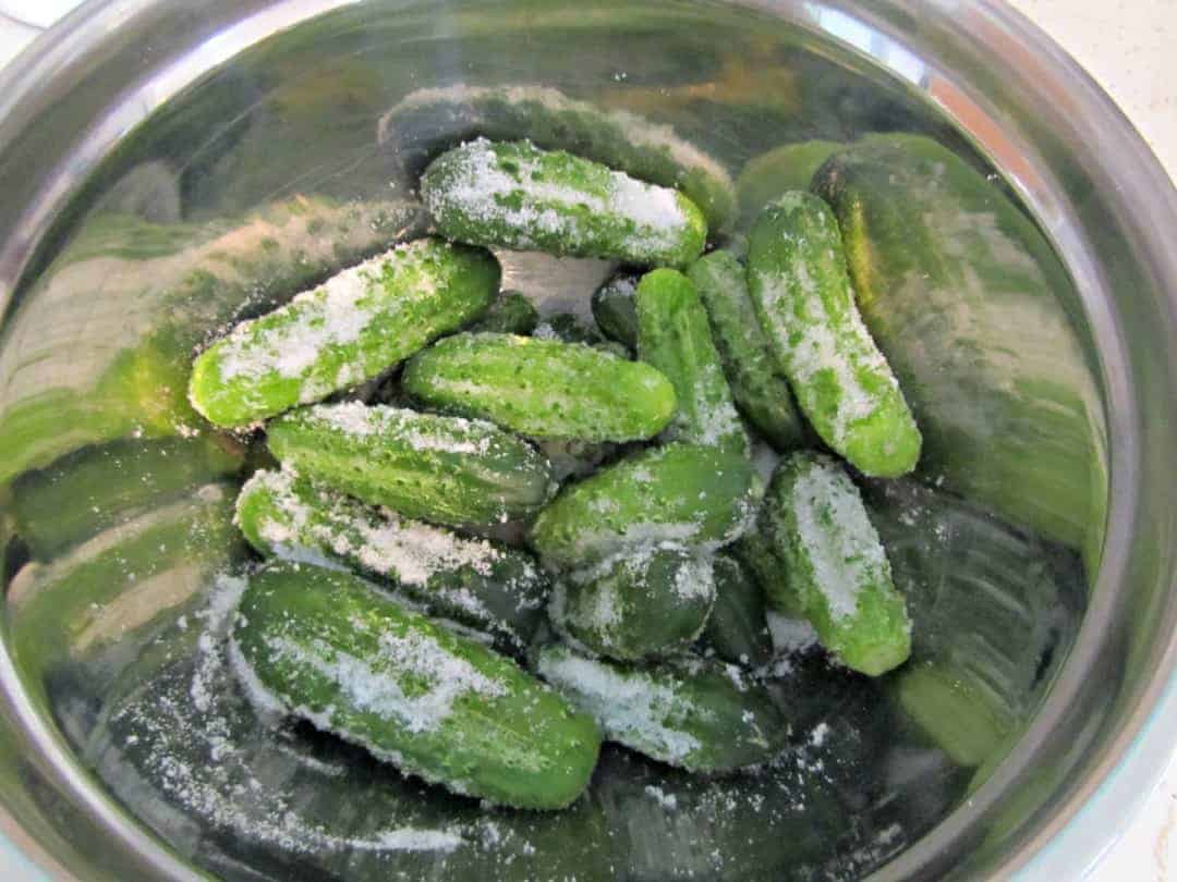 Bottled Gherkins (Homemade Dill Pickles) - The Kiwi Country Girl