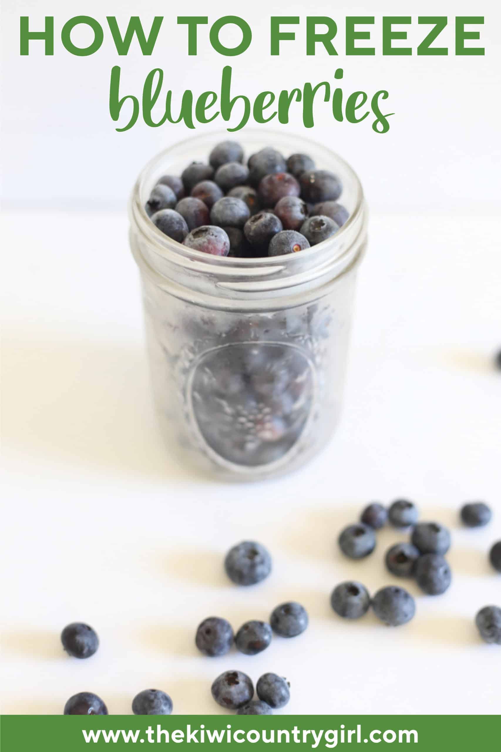 How to freeze blueberries (and other berries) - The Kiwi Country Girl