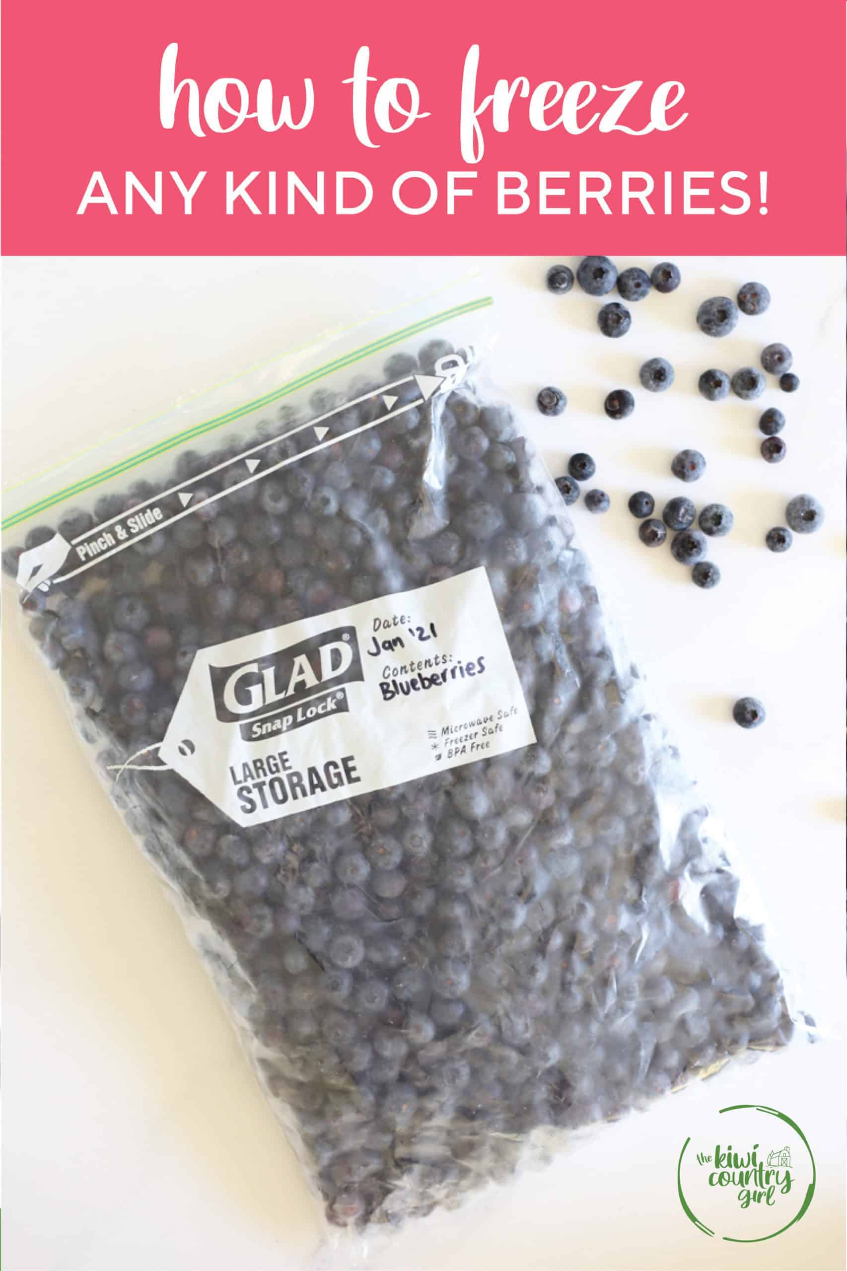 How to freeze blueberries (and other berries) - The Kiwi Country Girl